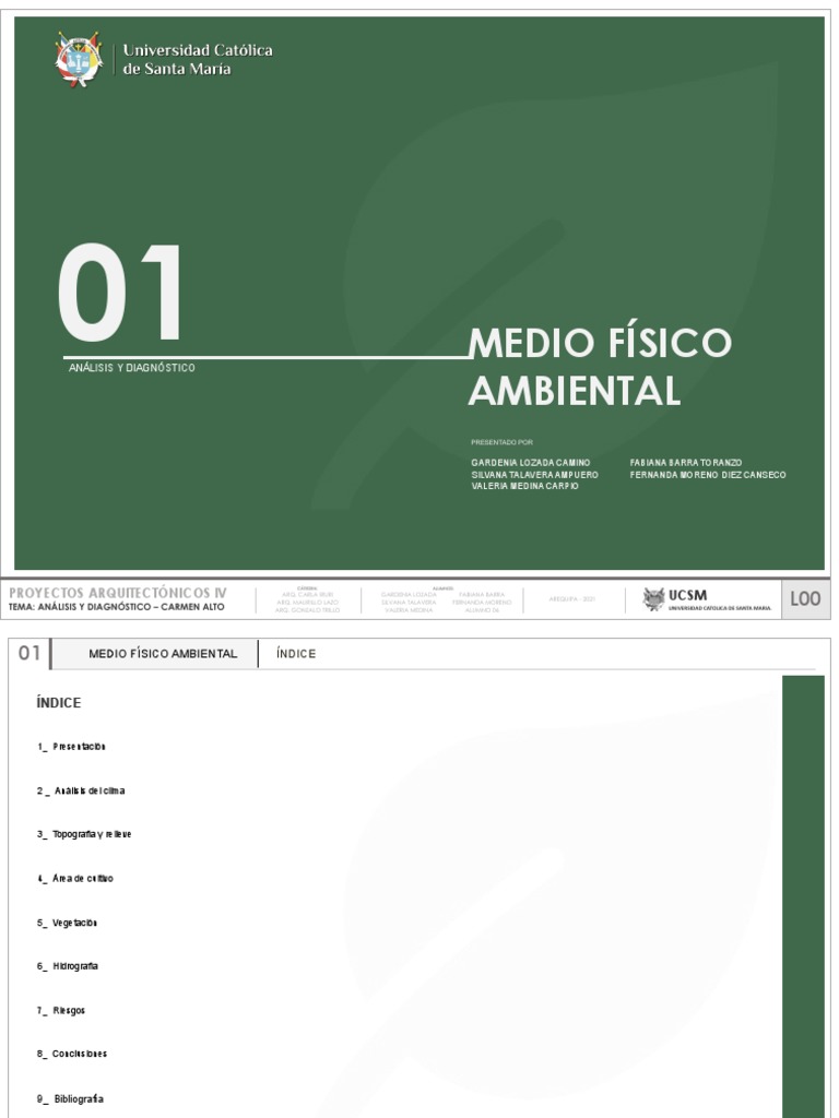 Grupo 01 Analisis y Diagnostico | PDF