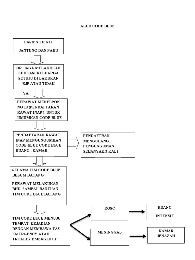 ALUR CODE BLUE BENER | PDF