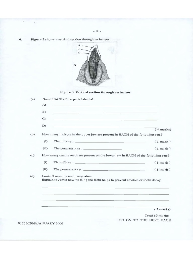 Grade 10 - Practice 1 | PDF