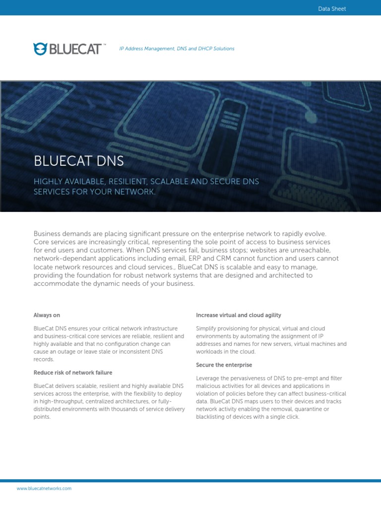 Bluecat DNS DS | PDF | Domain Name System | Cloud Computing