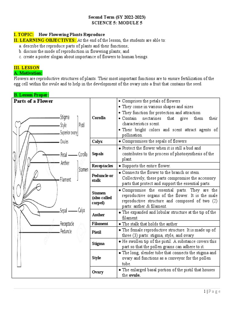 Second Term Science 5 Modules 5-8 | PDF | Flowers | Fertilisation