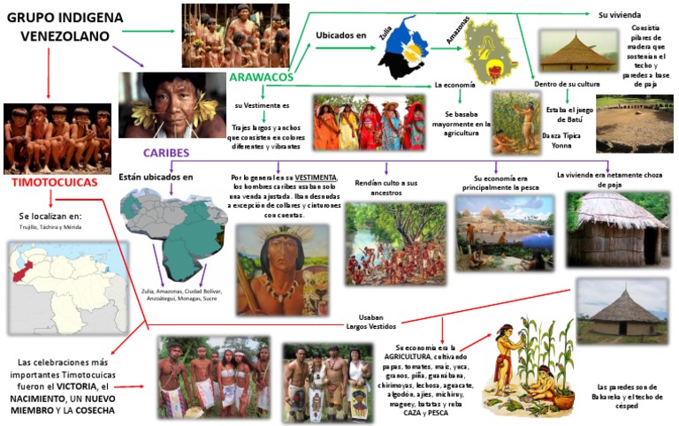 Mapa Mental de Pueblos Indígenas de Venezuela | PDF | Pueblos Indígenas ...