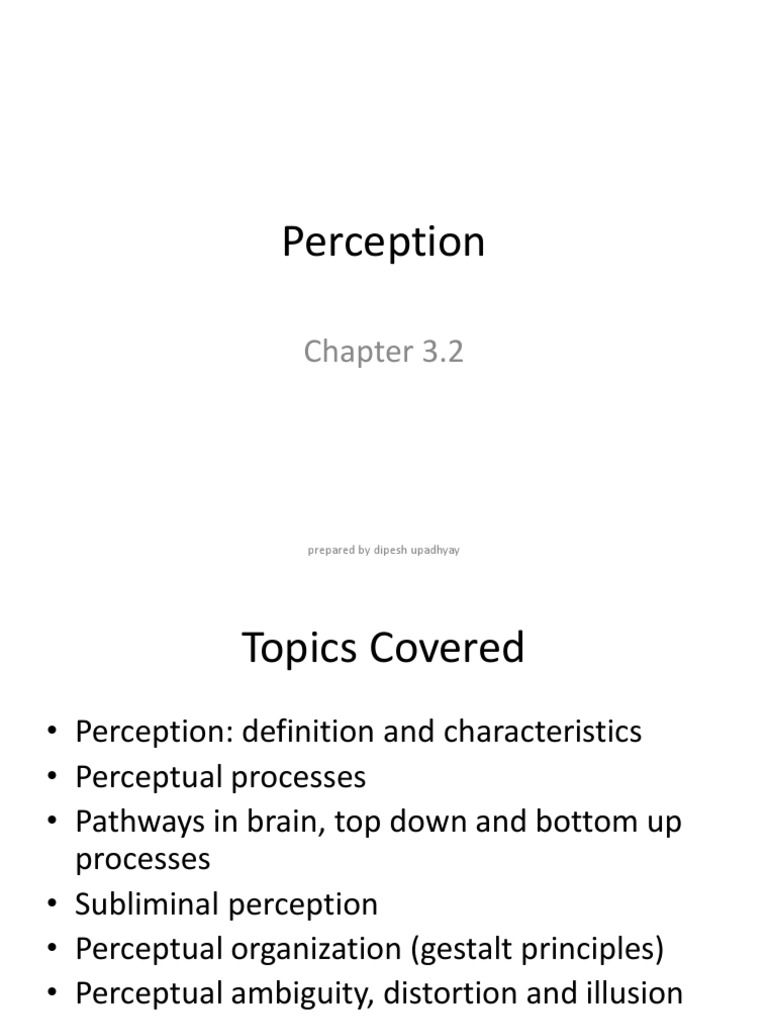 Chapter 3.2 Perception | PDF | Perception | Hallucination