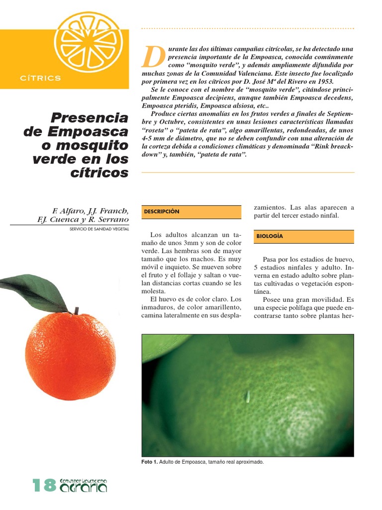 Empoasca o Mosquito Verde. CITRICOSpdf | PDF | Botánica | Plantas