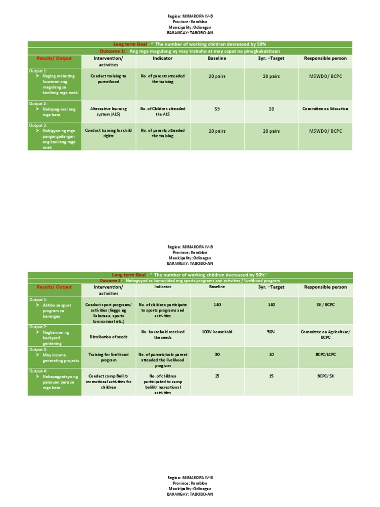 CICL Plan Long Term Goal | PDF | Family