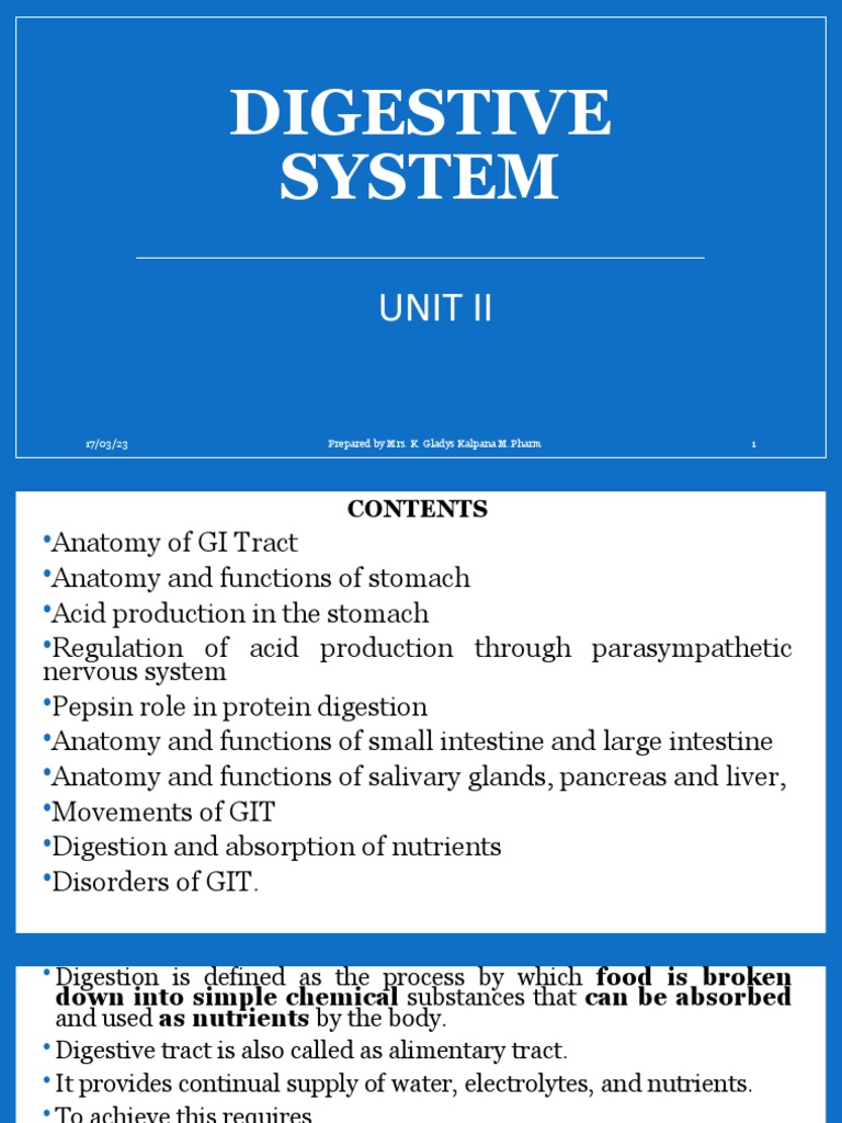 Digestive System: Unit Ii | PDF | Stomach | Pancreas