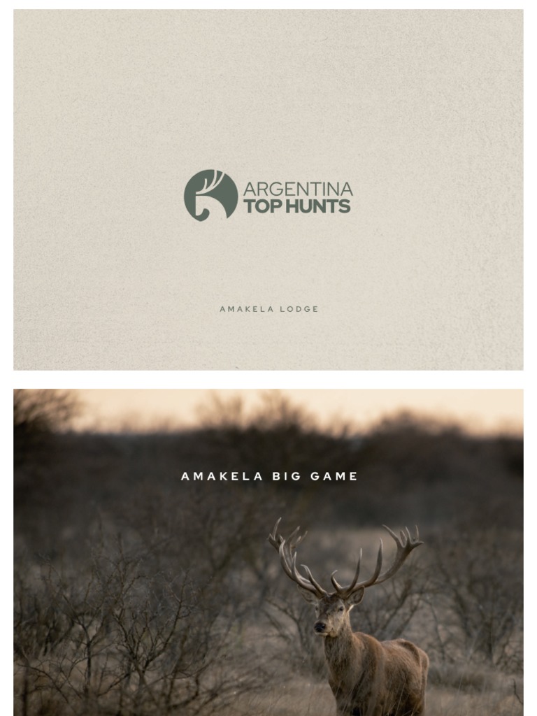 Amakela Big Game - 1 | PDF