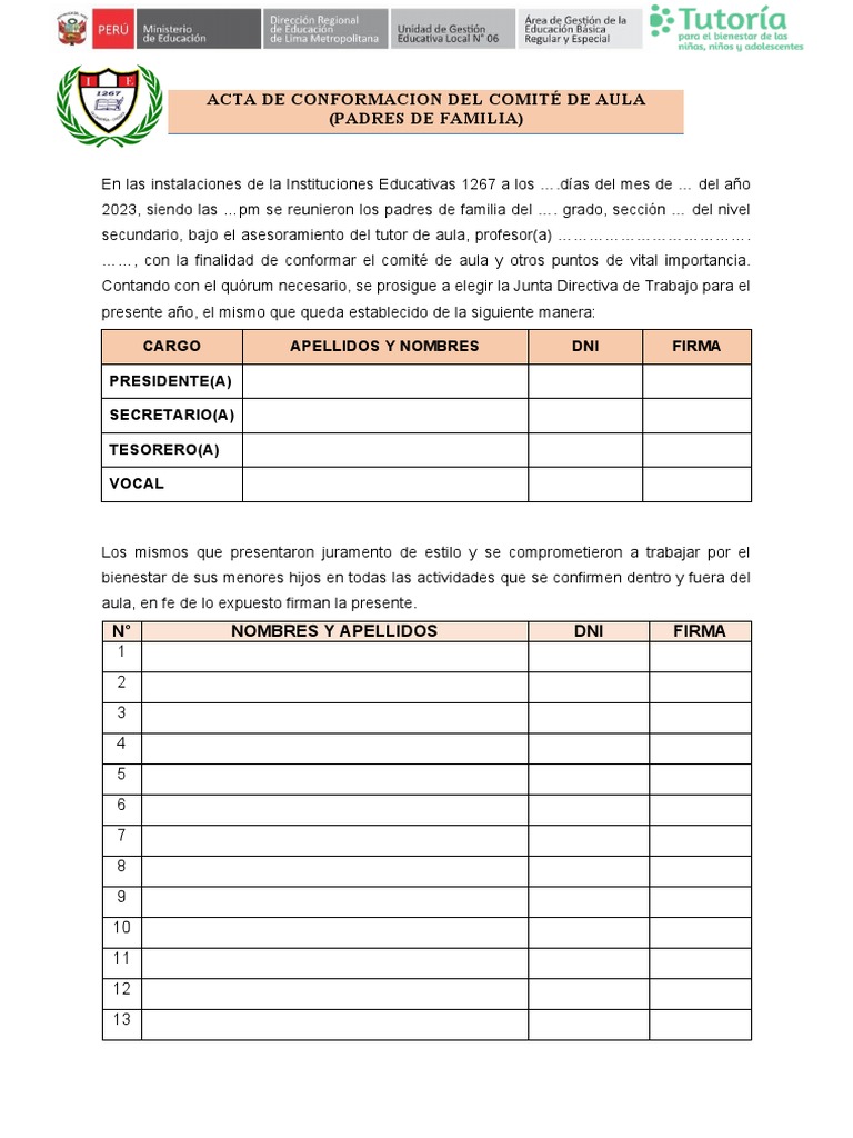 Acta de Conformacion Del Comité de Aula | PDF | Gobierno