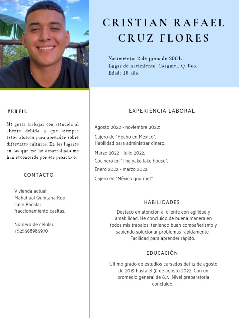 Cristian CV PDF | PDF