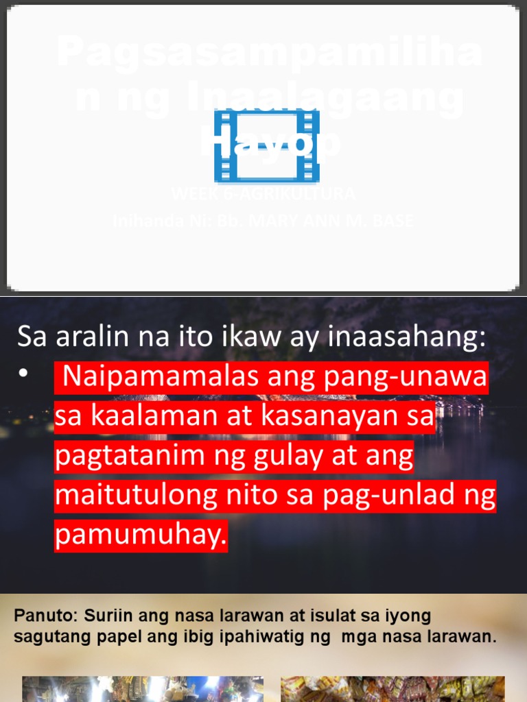 Epp 5 Week 6 Q3 | PDF