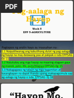 Mga Uri NG Halamang Gulay | PDF