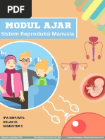 Organ Reproduksi Perempuan Bagian Dalam Dan Luar Beserta Fungsinya | PDF