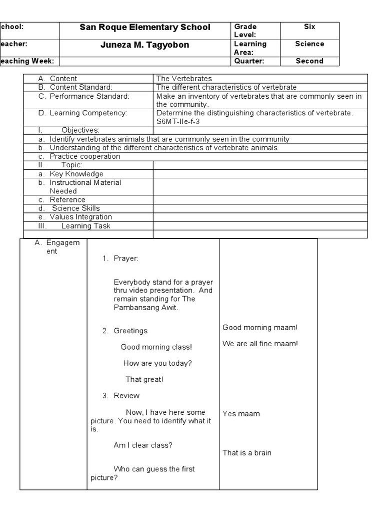 Lesson Plan COT 5es | PDF | Vertebrates | Learning
