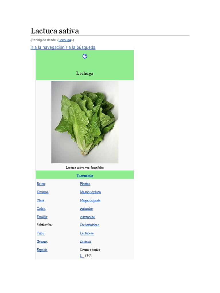 LECHUGA | PDF | Lechuga | Plantas