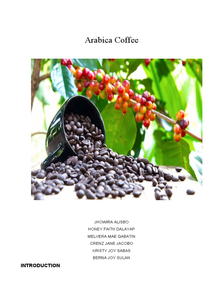 ARABICA COFFEEe | PDF | Coffee | Seed
