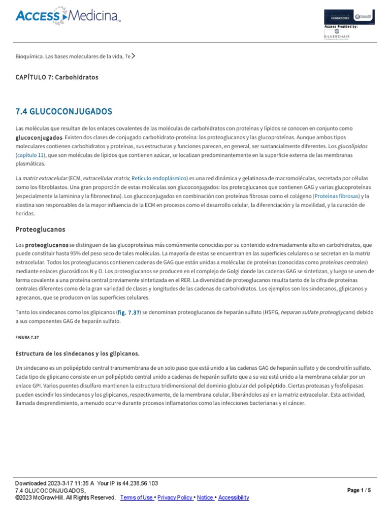 7.4 Glucoconjugados | PDF | Proteínas | Membrana celular