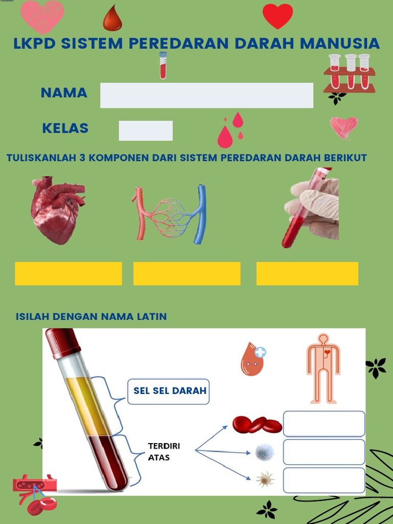 LKPD S. Peredaran Darah PDF | PDF