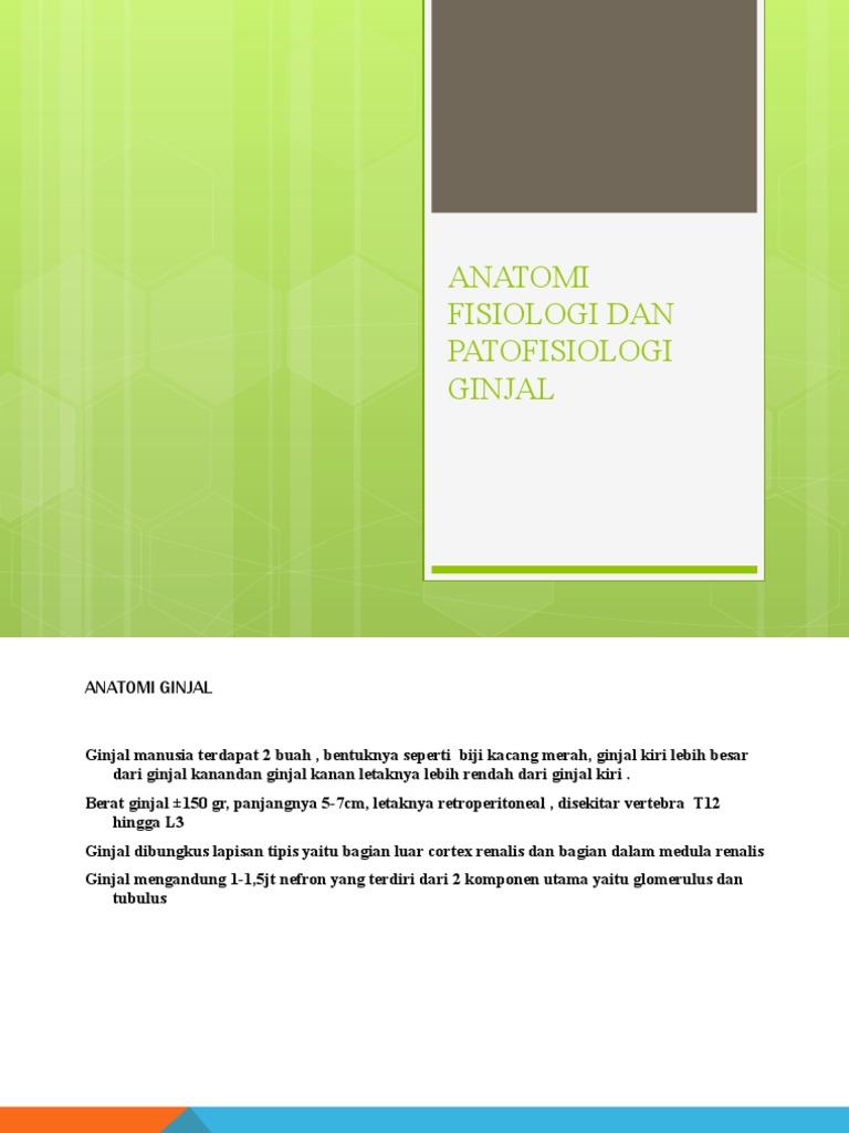 Ginjal | PDF | Kesehatan Holistik | Sains & Matematika