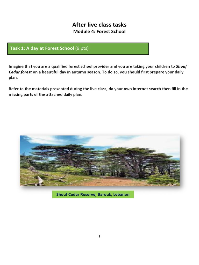 Forest School Daily Activity Plan | PDF | Insects