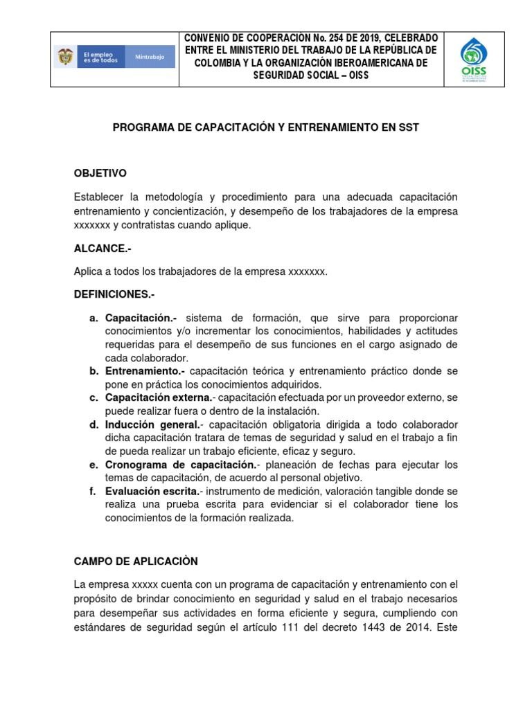Programa de Capacitación y Entrenamiento en SST | PDF