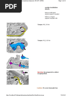 VW Fluid Capacity Charts PDF | PDF | Motor Oil | Automotive Technologies
