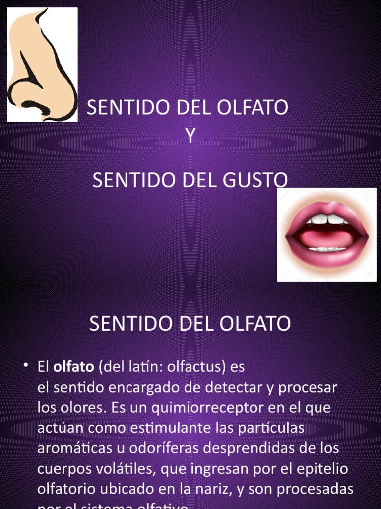 Sentido Del Olfato y Gusto | PDF | Gusto | Neurociencia