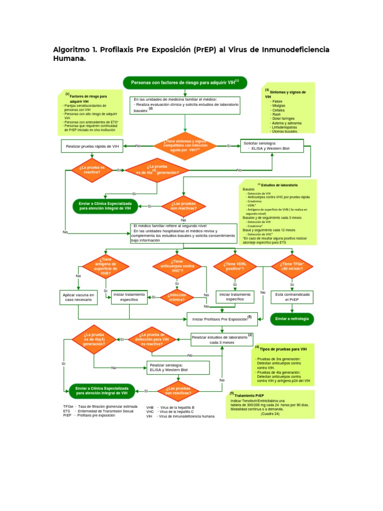 Algoritmos PrEP y PEP - 27 07 22 | PDF | VIH | Infección transmitida sexualmente
