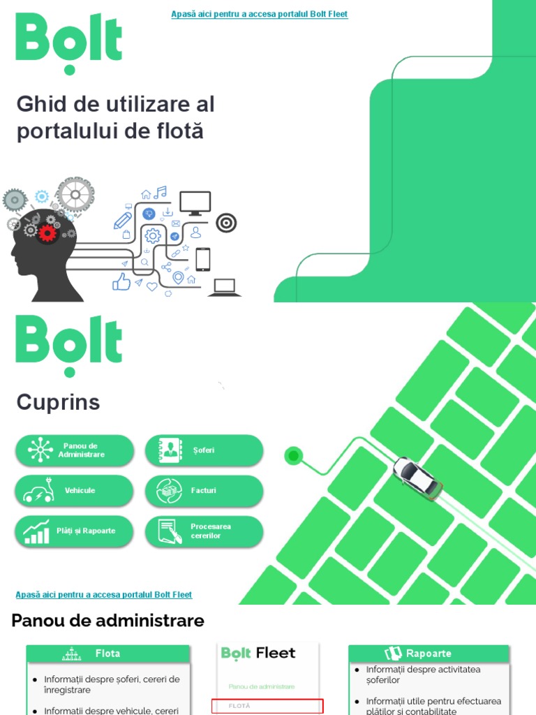 Ghid de Utilizare Al Portalului de Flota BOLT | PDF