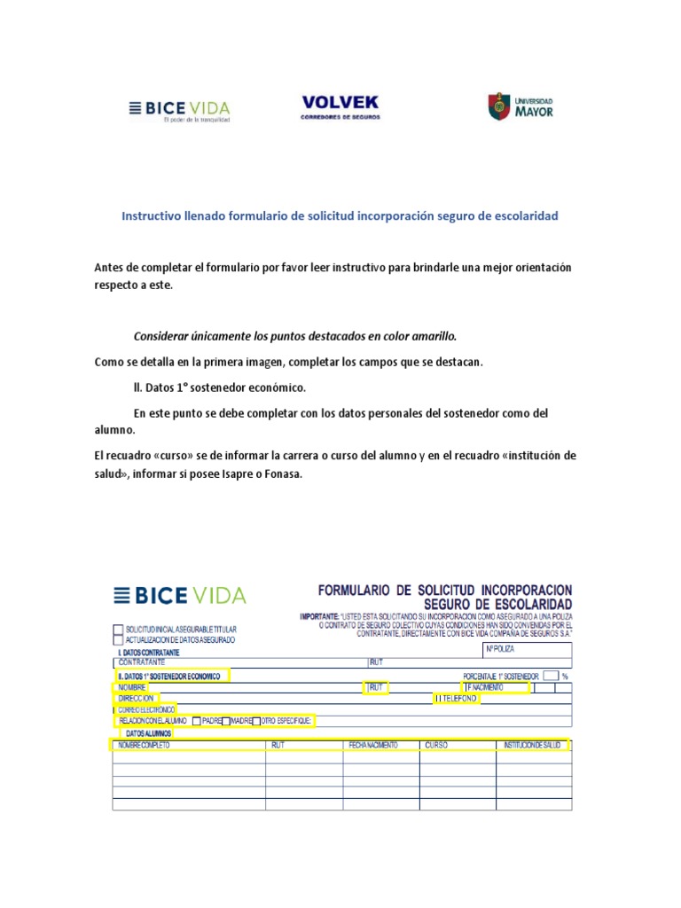 Instructivo Formulario | PDF