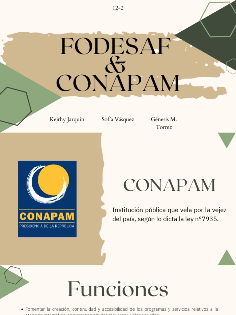 FODESAF y CONAPAM PDF | PDF