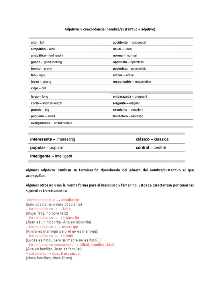 Adjetivos y concordancia nombre | PDF