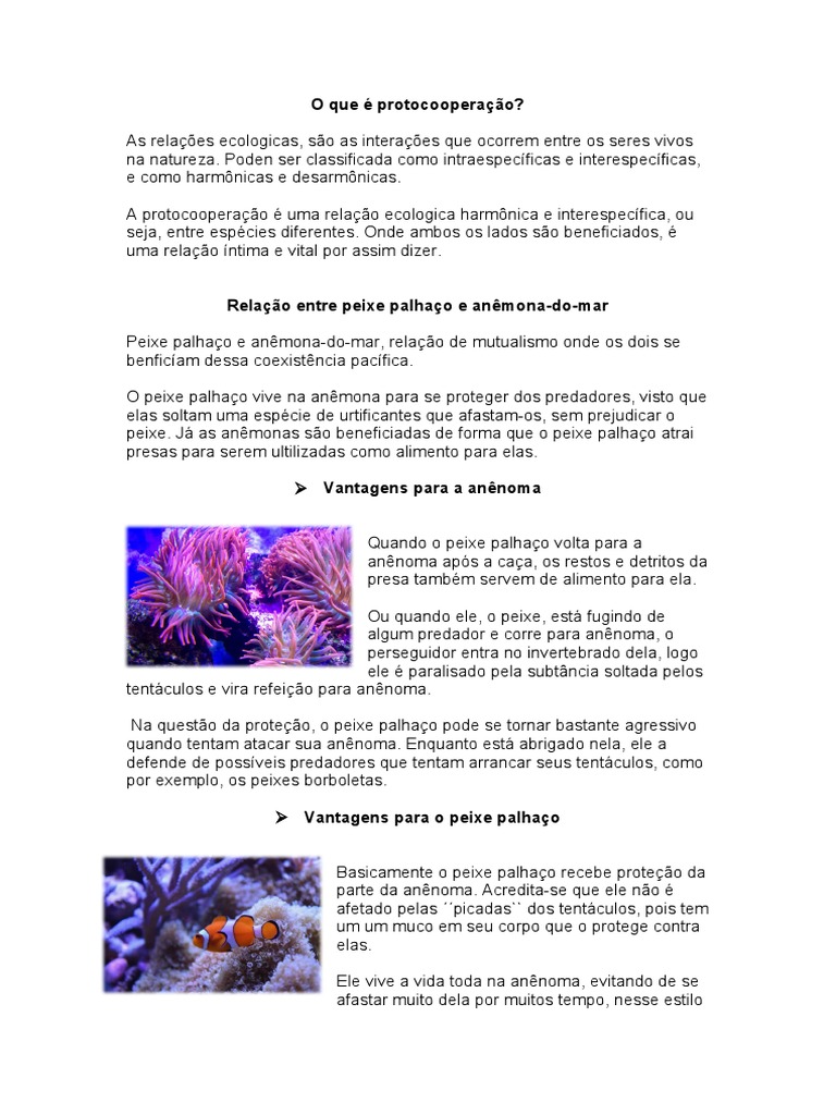 O Que É Protocooperação | PDF | Peixes | Zoologia