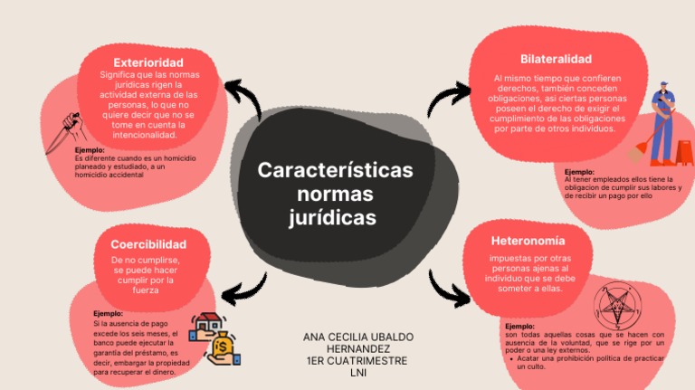 Caracteristicas Normas Juridicas | PDF