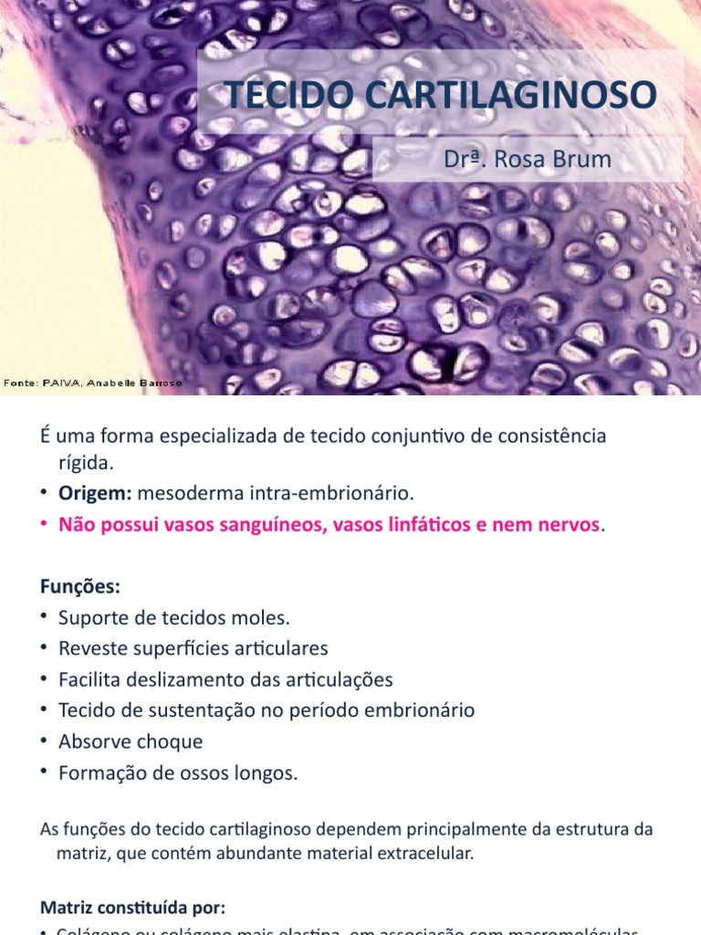 Histologia - Aula 3 - Tecido Cartilaginoso | PDF | Cartilagem | Tecido (Biologia)
