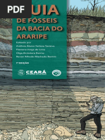 VED - Protocolo Completo | PDF