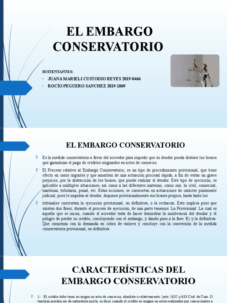 Proceso y características del embargo conservatorio | PDF | Demanda ...
