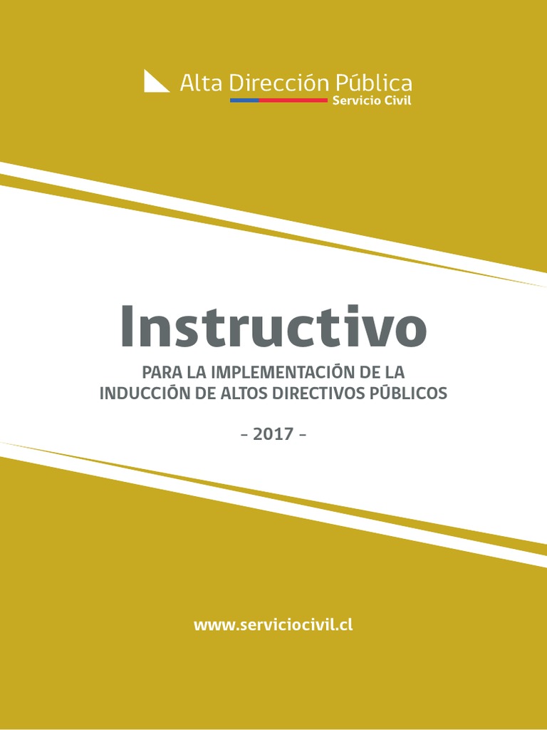 2017 Instructivo para La Implementación de La Inducción de Altos Directivos Públicos PDF | PDF ...