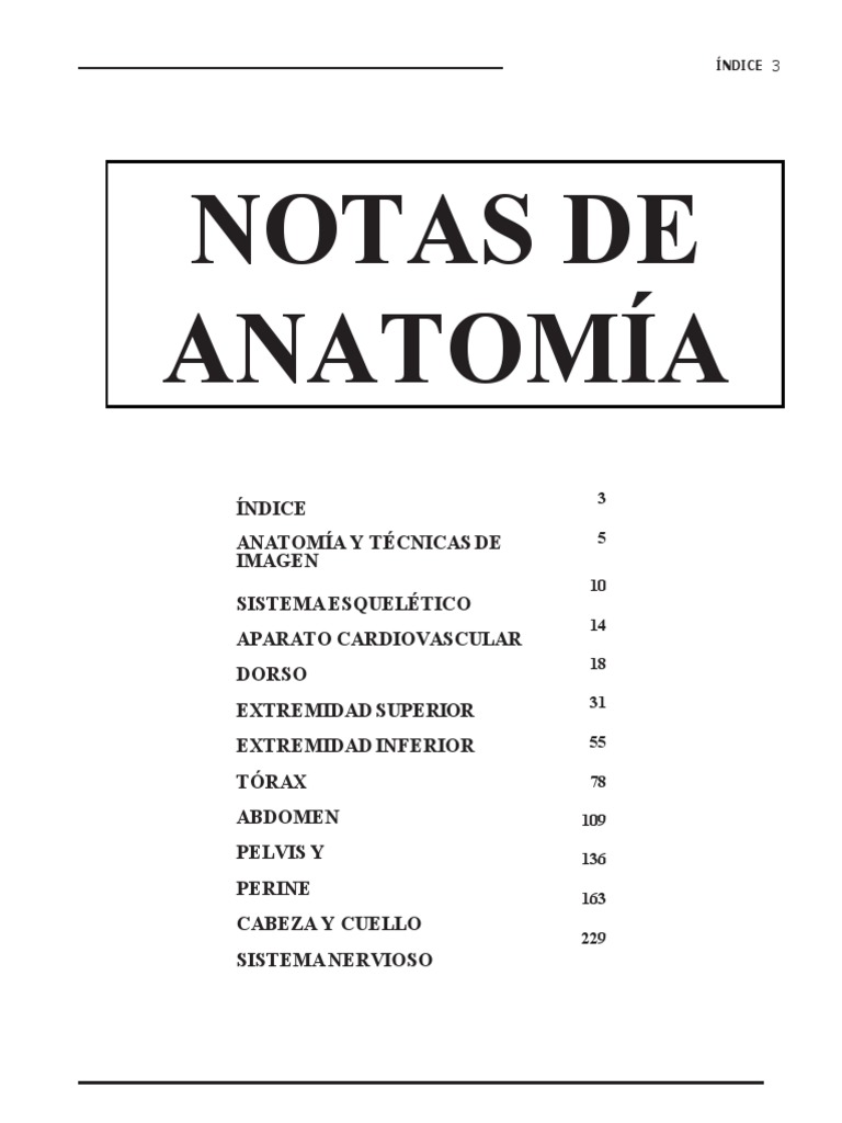 Notas Anato | PDF | Sistema linfático | Músculo