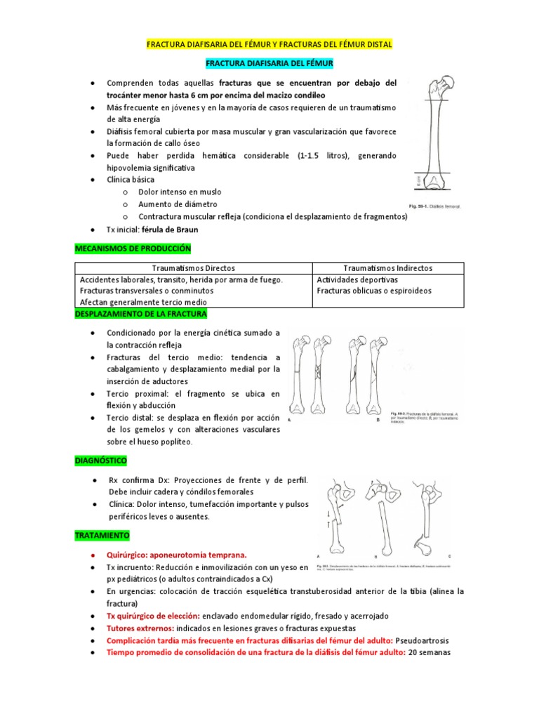 Fractura Diafisaria Del Fémur y Fracturas Del Fémur Distal | PDF | Rodilla | Sistema esquelético