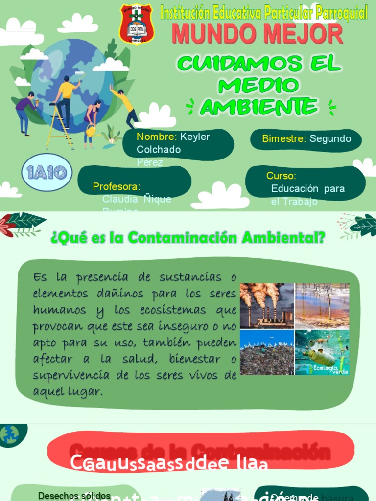 Contaminación Del Medio Ambiente | PDF
