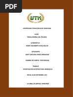 Estructura del Poder Judicial en Honduras | PDF | Judicaturas | Gobierno