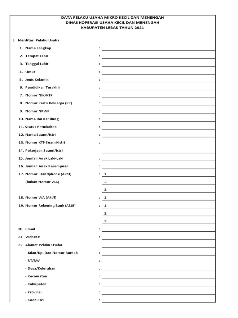 Form Pendataan UMKM 2021 | PDF