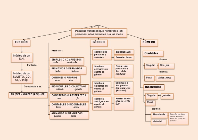 Mapa Conceptual De Los Sustantivos Word Pdf Gramática Tipología Lingüística
