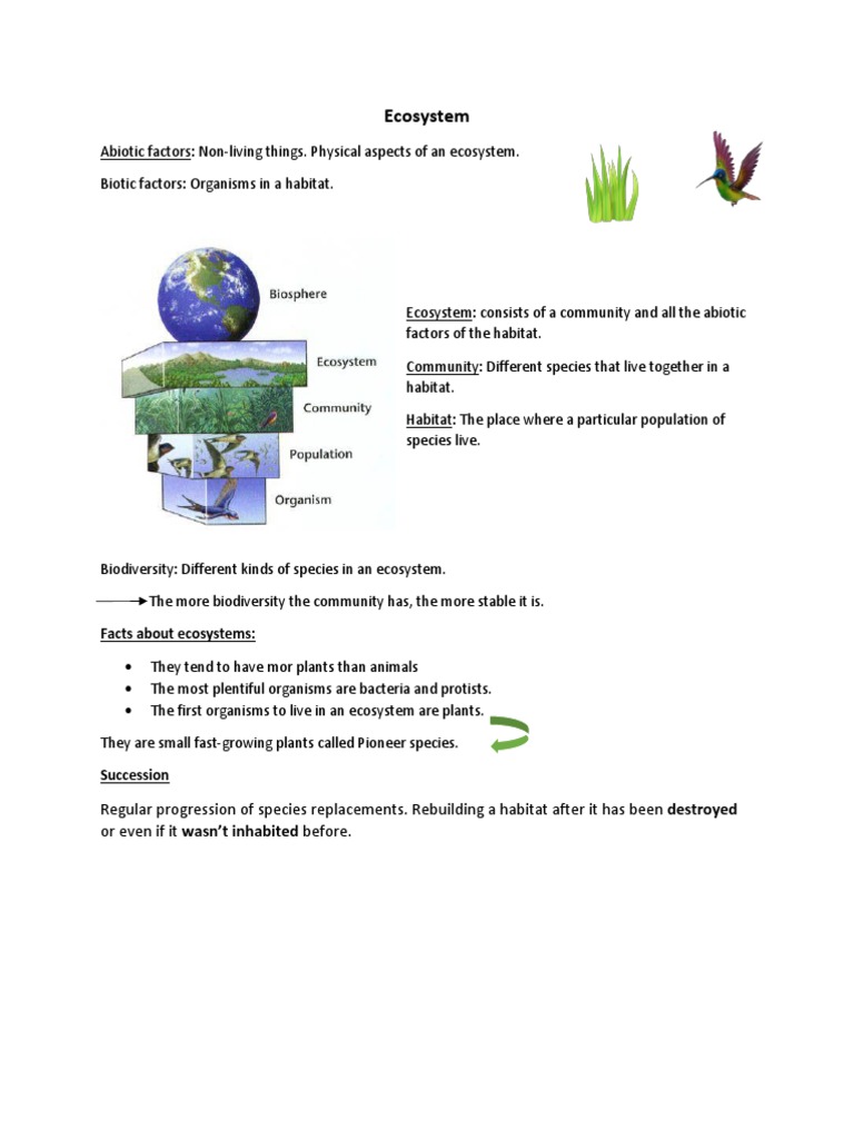 Ecosystem Summary | PDF | Ecosystem | Herbivore