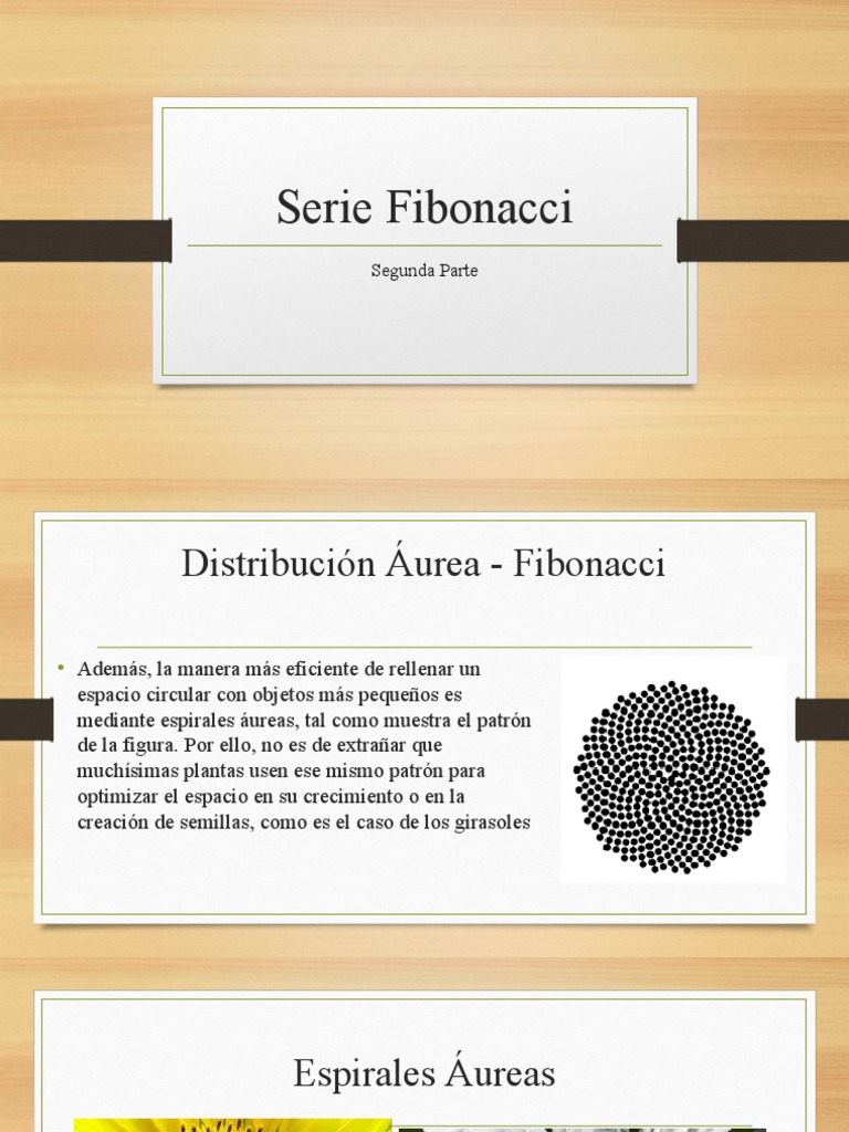 Serie Fibonacci - II | PDF | Programación de computadoras | Ingeniería de software