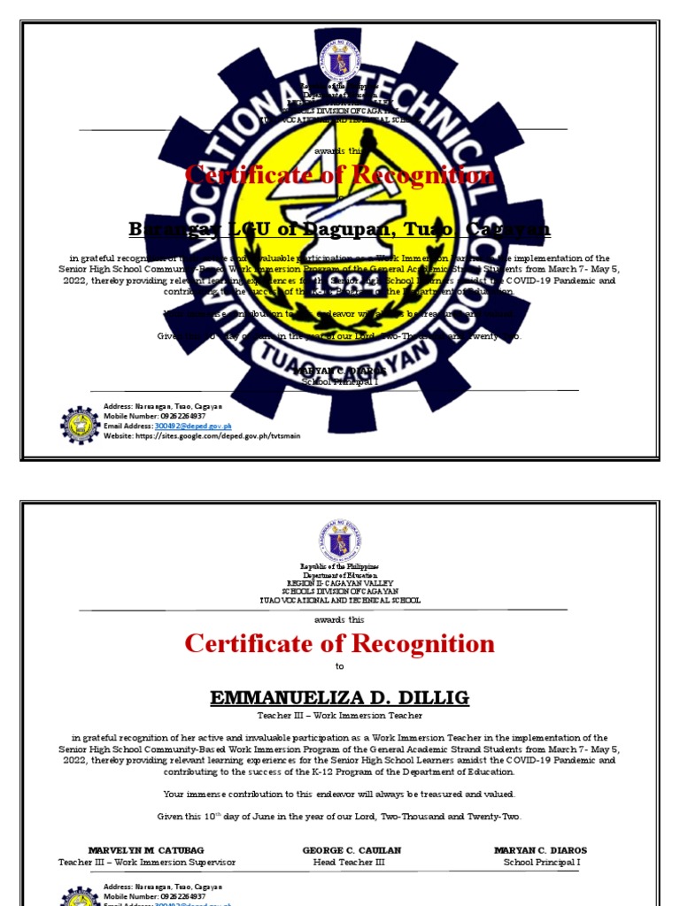 Immersion Brgy Cert | Download Free PDF | Cognition | Behavior Modification
