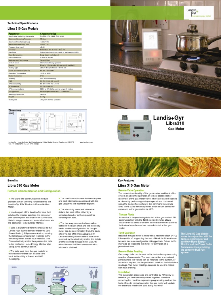 Libra 310 Gas Meter Specifications | PDF | Natural Gas | Battery ...