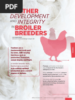 Injectable Vaccination in Chickens | PDF | Vaccines | Injection (Medicine)