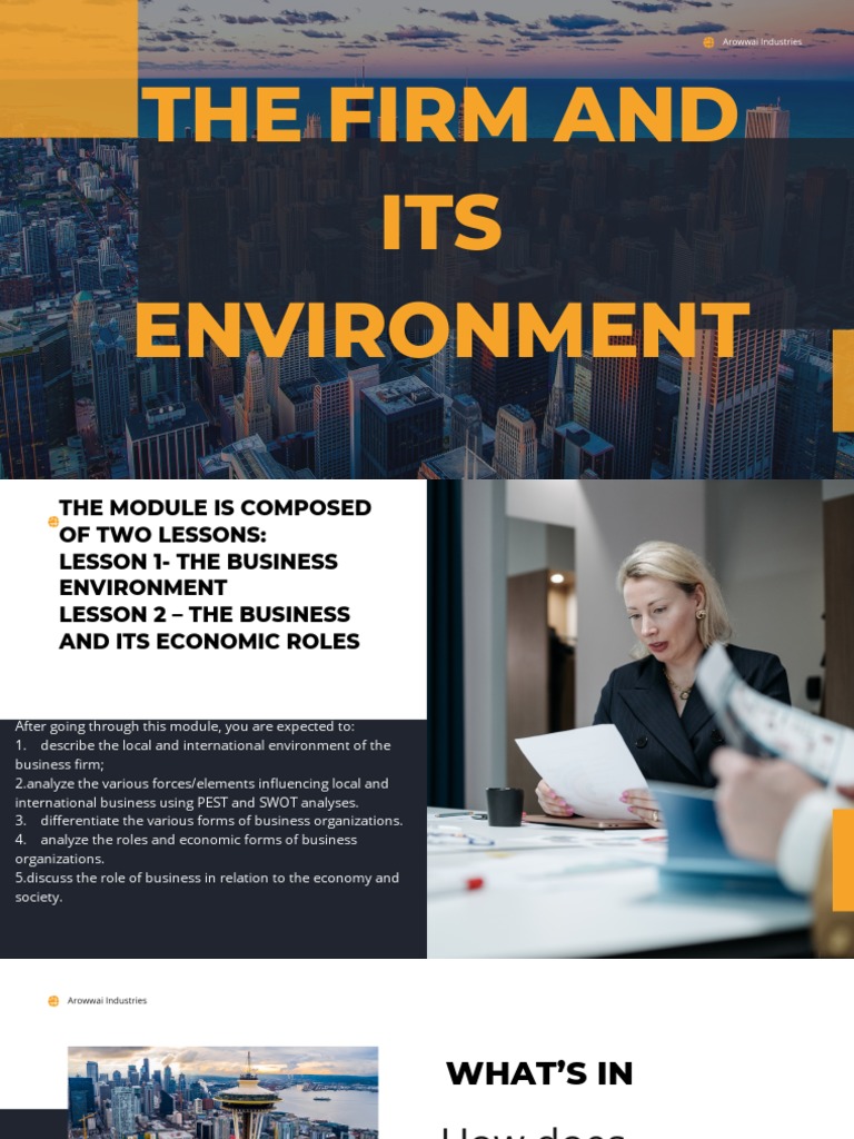 The Firm and Its Environment | PDF | Swot Analysis | Business Economics