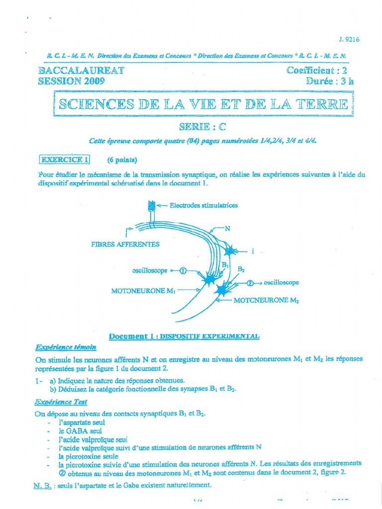 Bac C SVT 2009 PDF | PDF